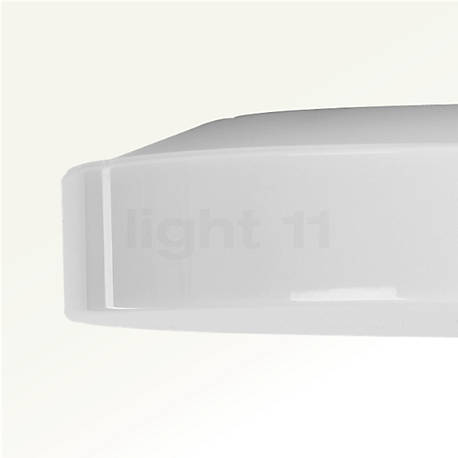 Buy Flos Button at light11.eu