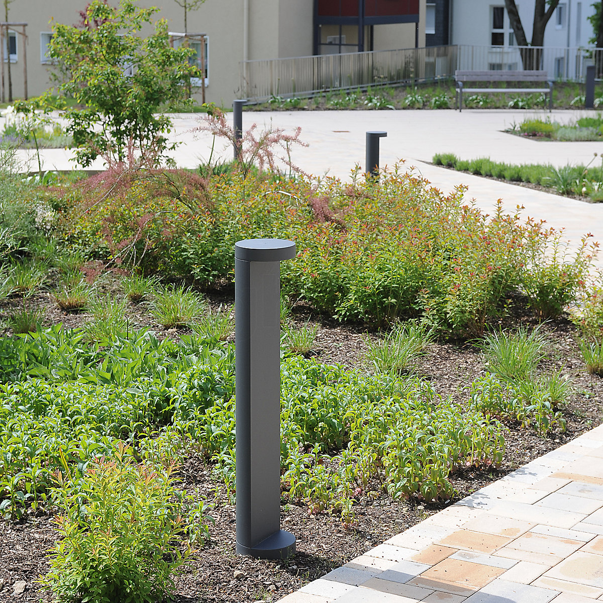 Buy Bega 99058 - Bollard light LED at light11.eu