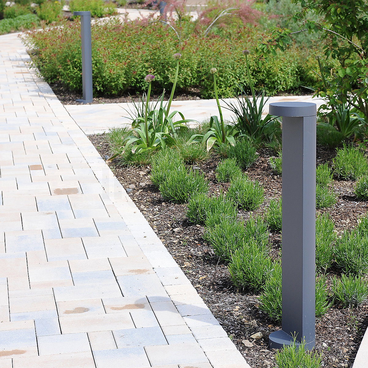 Buy Bega 99058 - Bollard light LED at light11.eu