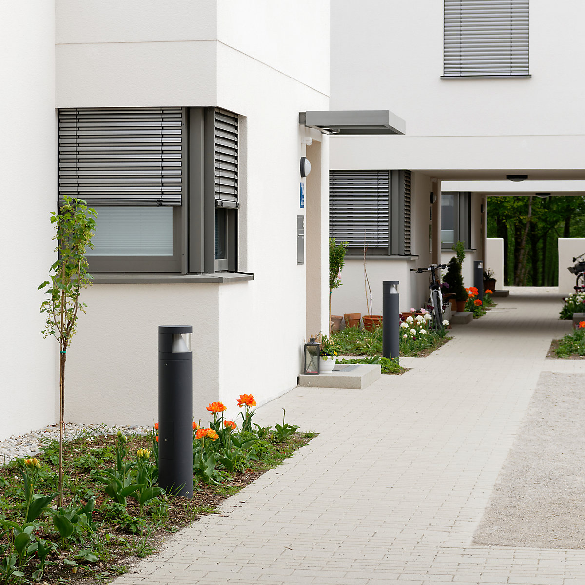 Buy Bega 99853 - System Bollard Light LED at light11.eu