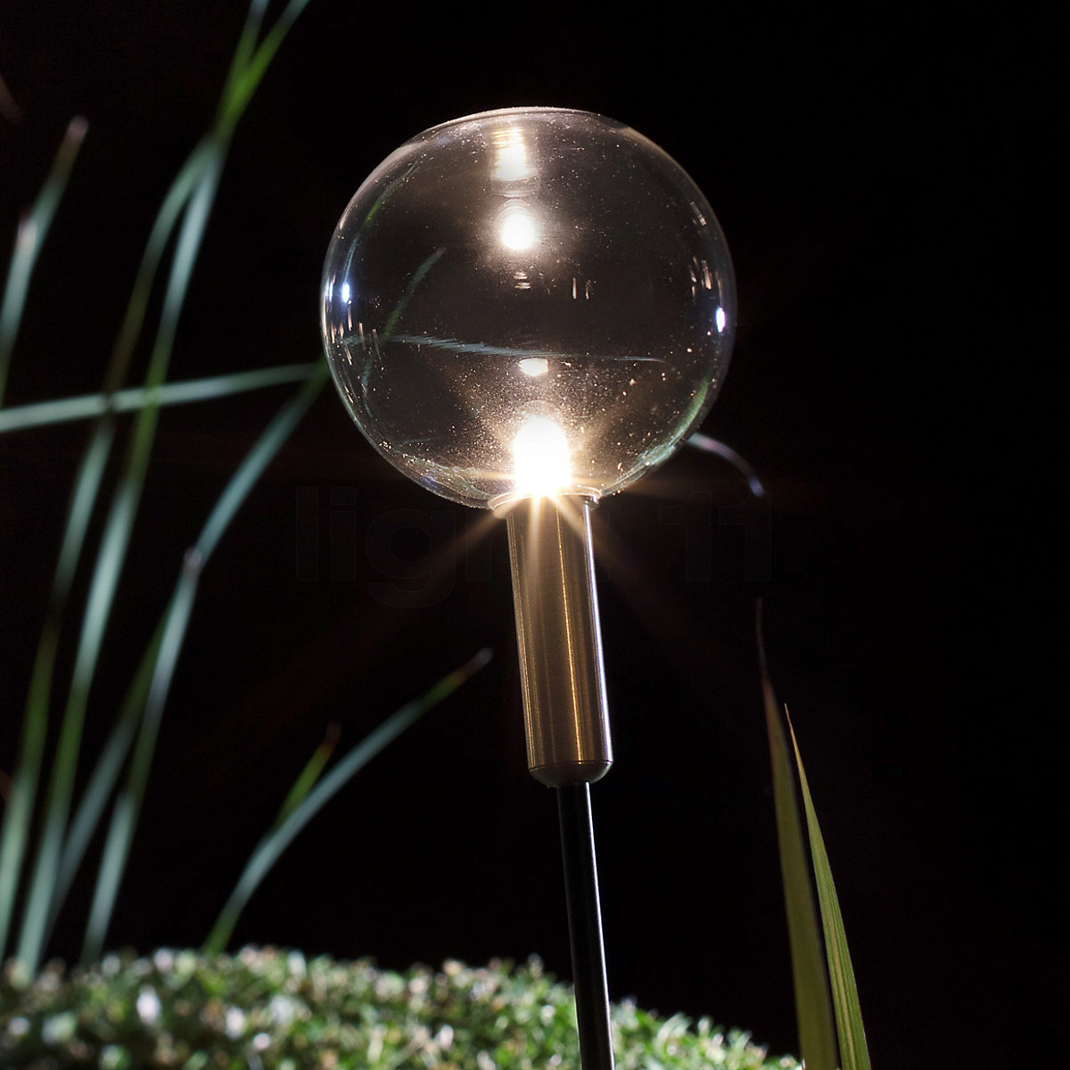 Buy Catellani & Smith Syphasfera without transformer at