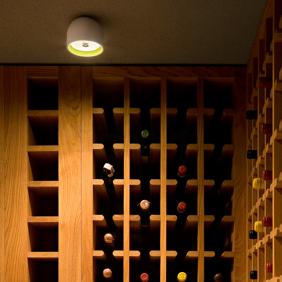 Flos Wan wall-/ceiling ligh buy at light11.eu