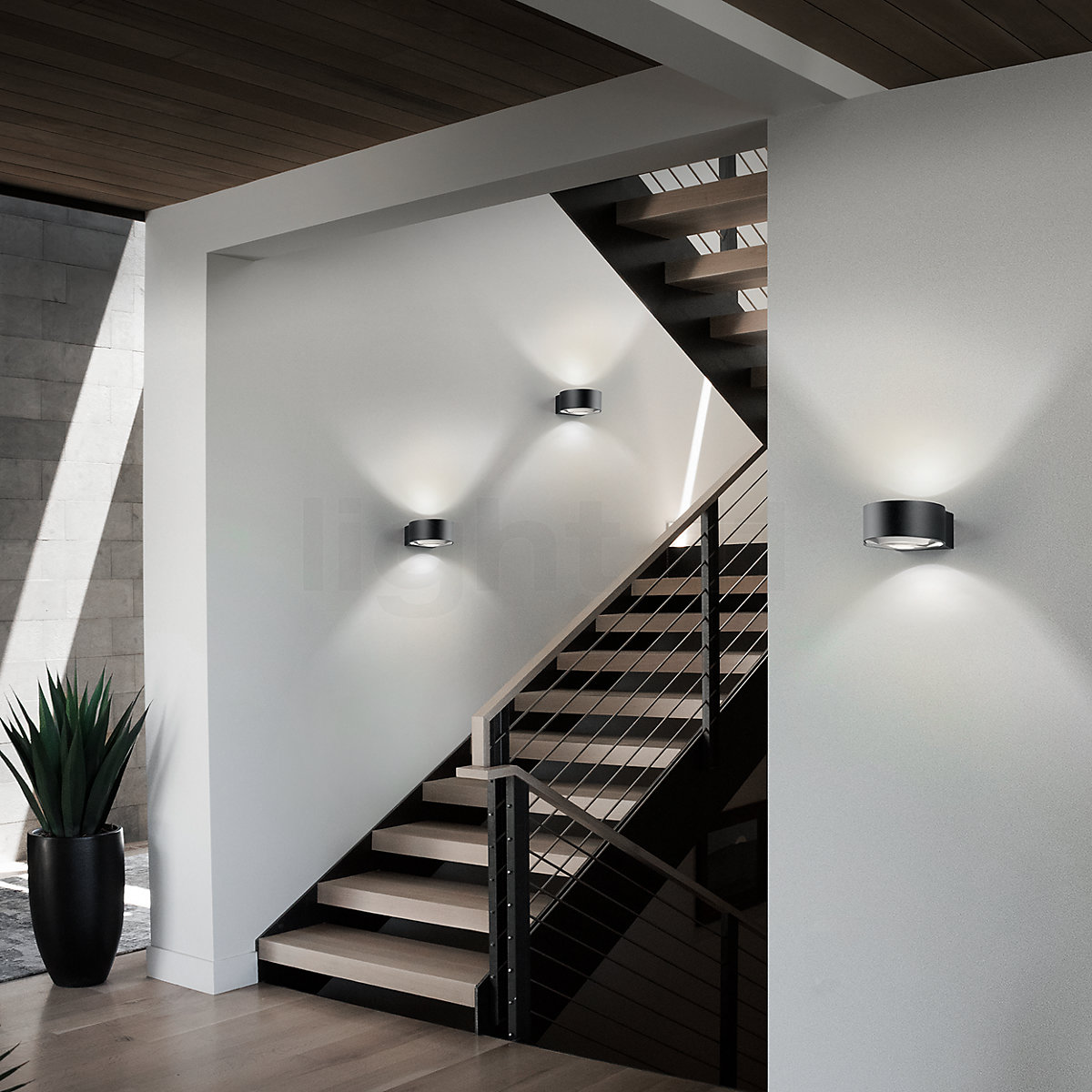 Buy Light Point Orbit Wall Light LED at light11.eu
