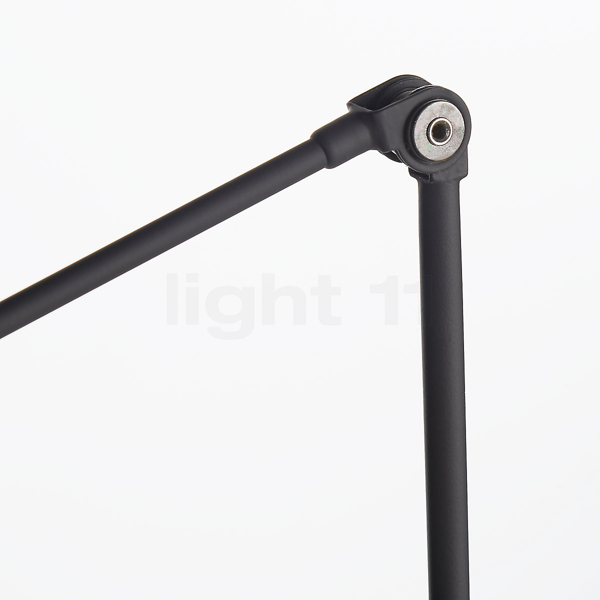 Buy Lumina Daphine Terra LED at light11.eu