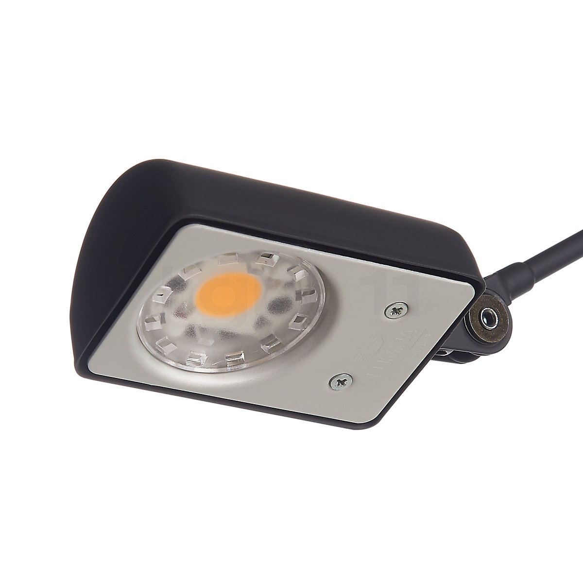 Lumina Daphine Terra LED kaufen