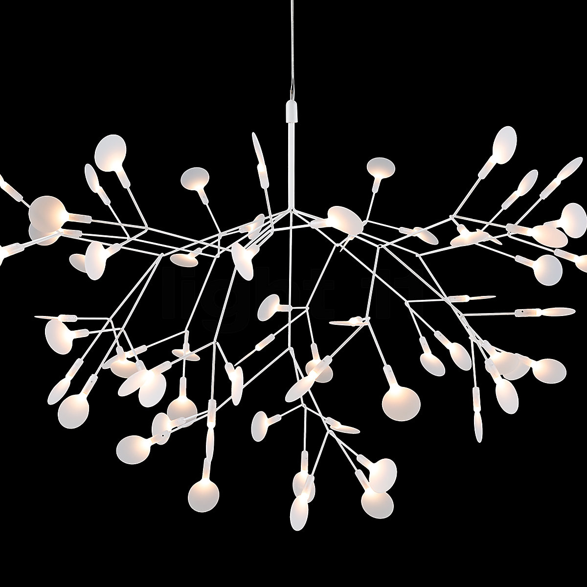 Buy Moooi Heracleum III The Big O Pendant Light LED at