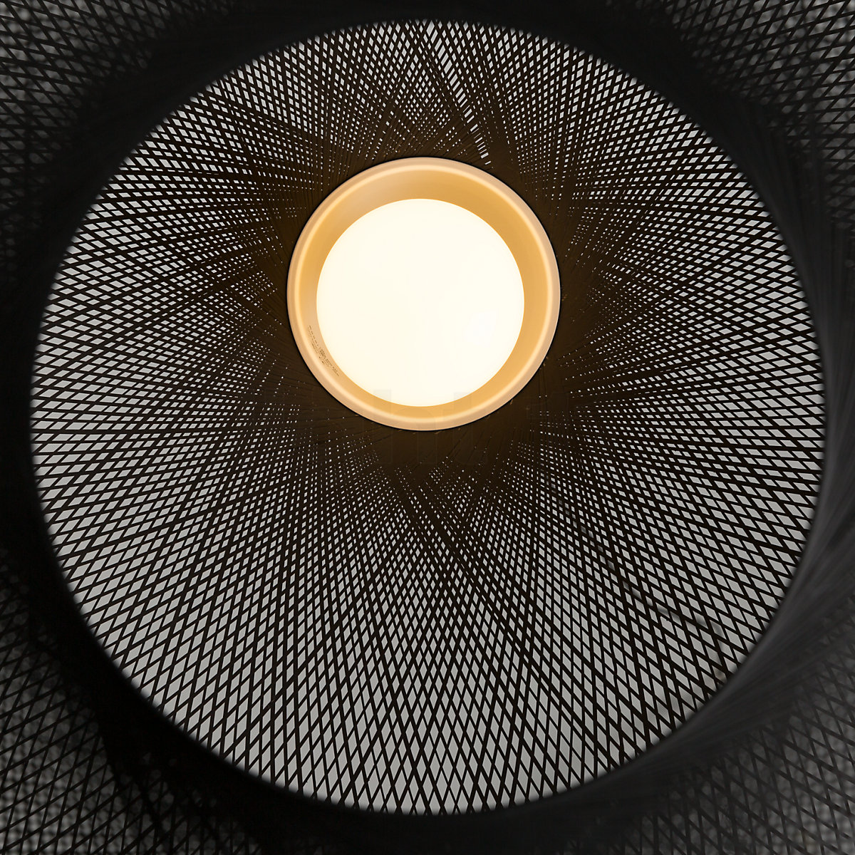 Moooi Non Random Light kaufen bei light11.de