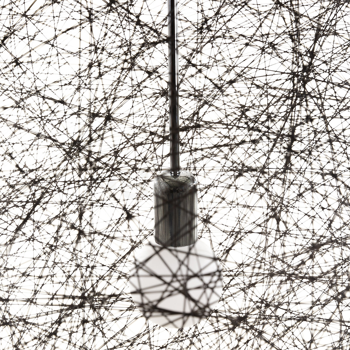 Moooi Random Light Pendant lights at light11.eu