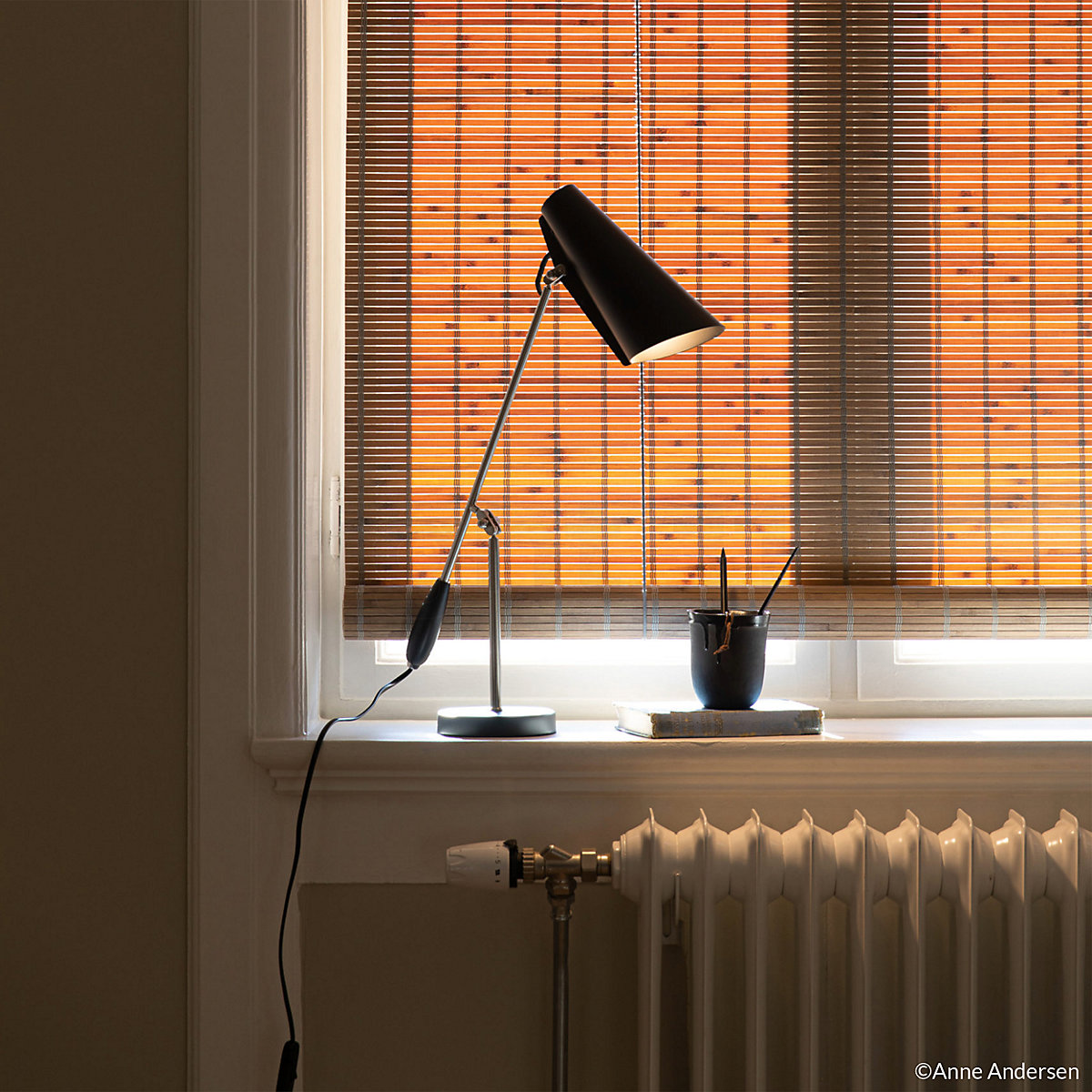 Buy Northern Birdy Table lamp at light11.eu