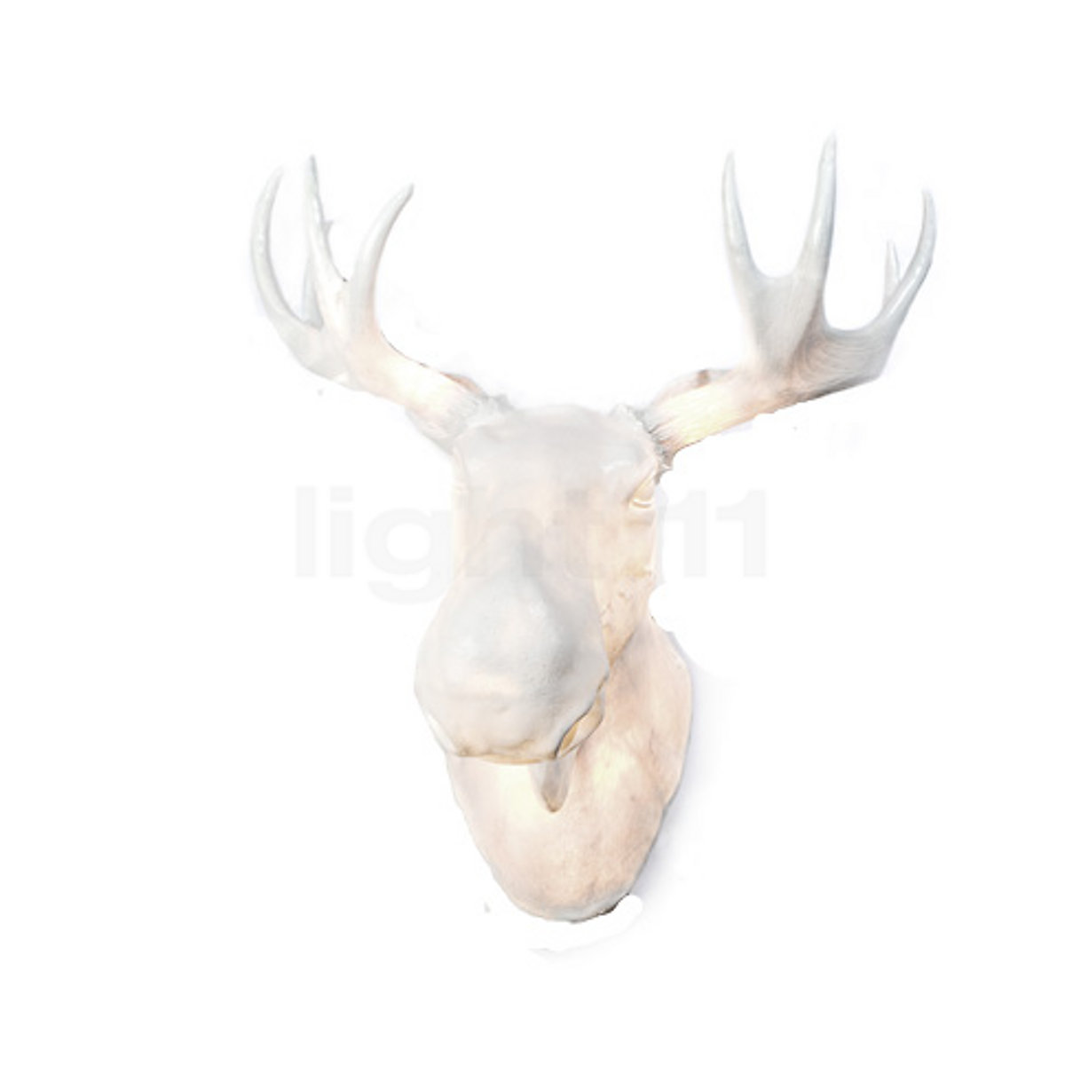 Buy Northern Moo Wall light at light11.eu