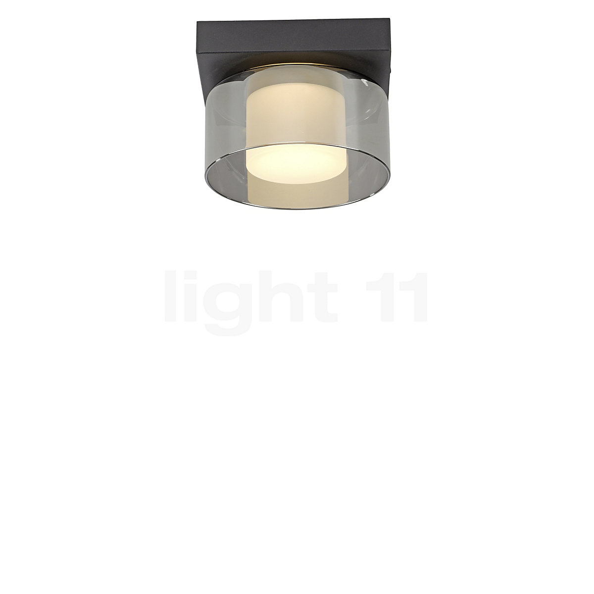 Buy PAUL NEUHAUS Rika Ceiling Light LED at light11.eu