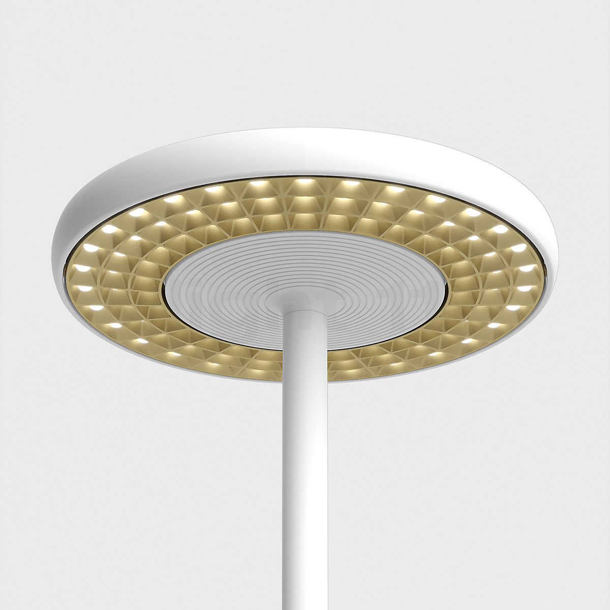 Rotaliana Sol F1 Deckenfluter LED kaufen