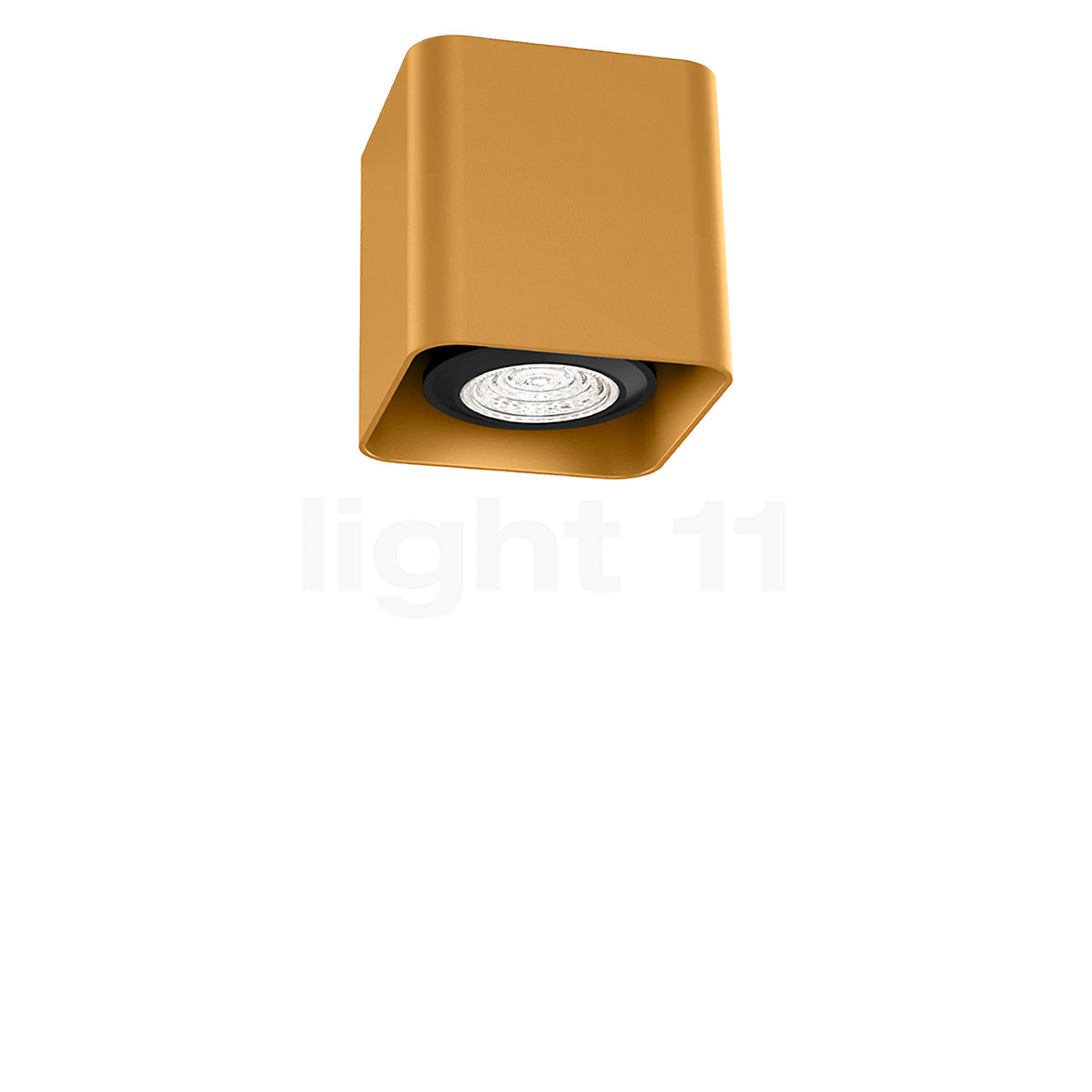 Buy Wever & Ducré Docus Mini 1.0 Spot at light11.eu
