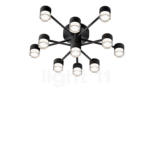 Buy Helestra Kala Ceiling Light LED 11 lamps at light11.eu